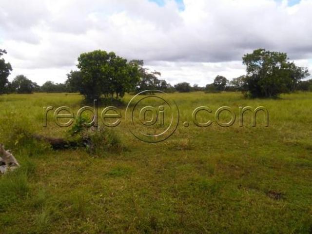 Fazenda para venda em Centro, Luciara