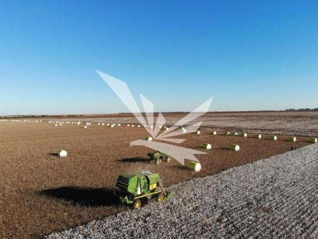 Fazenda para venda em Centro, Luziânia