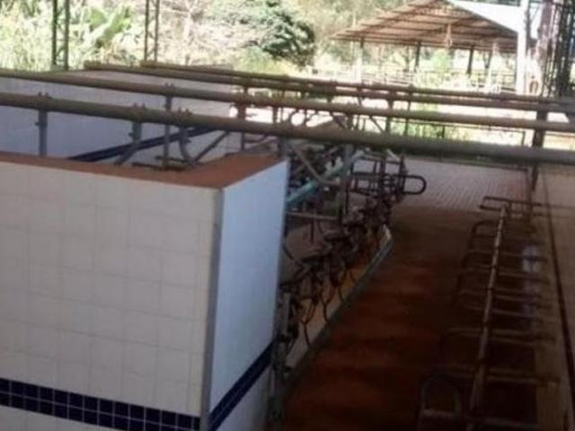 Fazenda para venda em Centro, Lagoinha