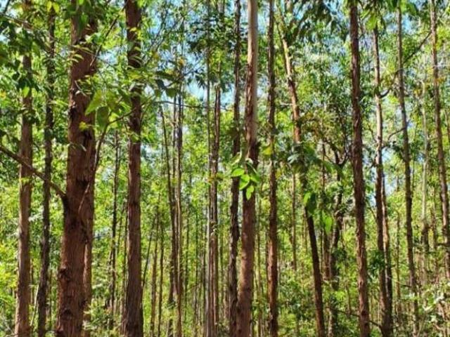 Fazenda para venda em Centro, Lassance