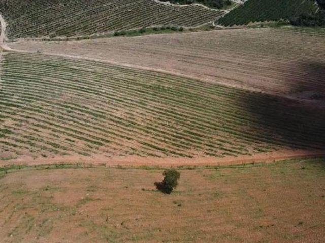 Fazenda para venda em Centro, Lavras