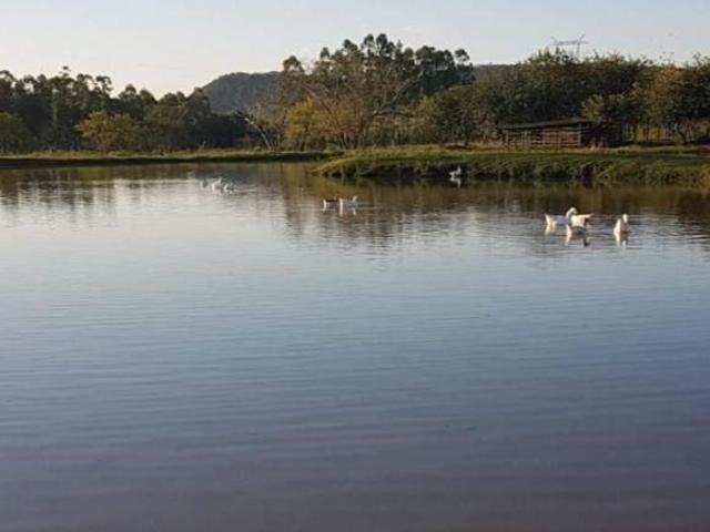Fazenda para venda em Centro, Leópolis