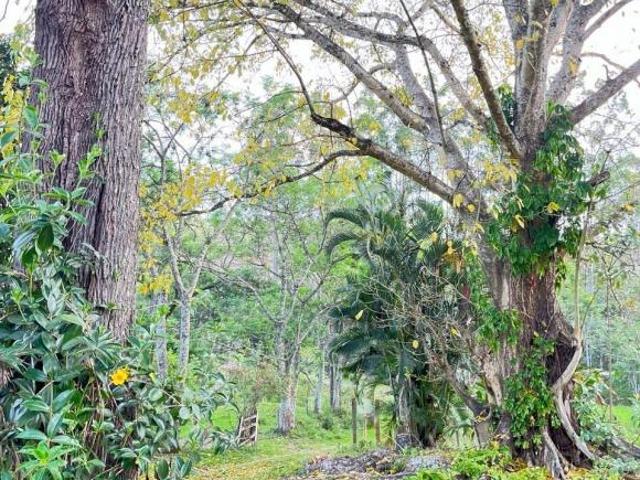 Fazenda para venda em Centro, Lorena