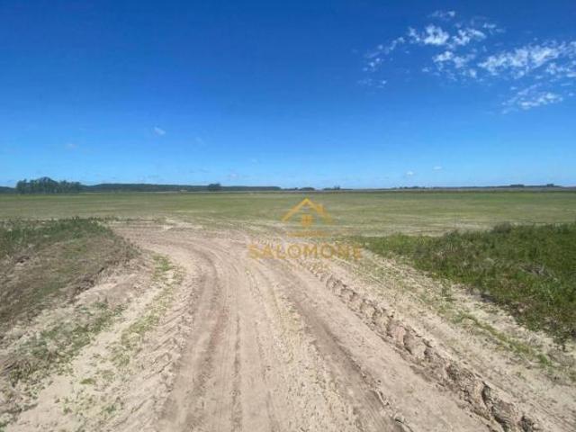 Fazenda para venda em Centro, Palmares do Sul