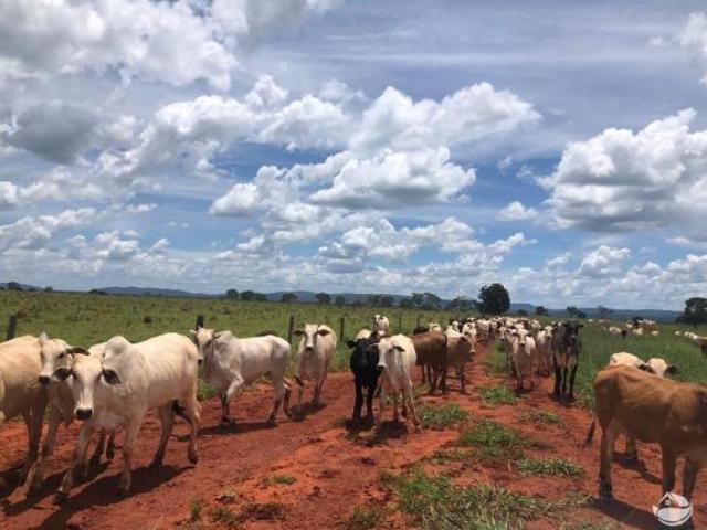 Fazenda para venda em Centro, Paracatu