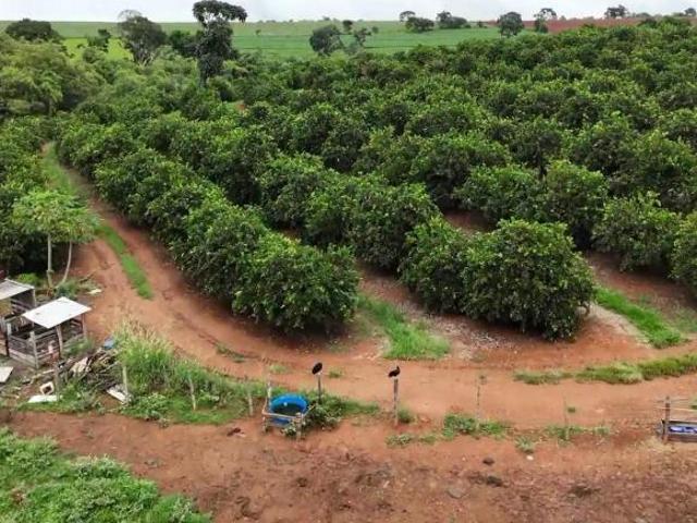 Fazenda para venda em Centro, Paraguaçu