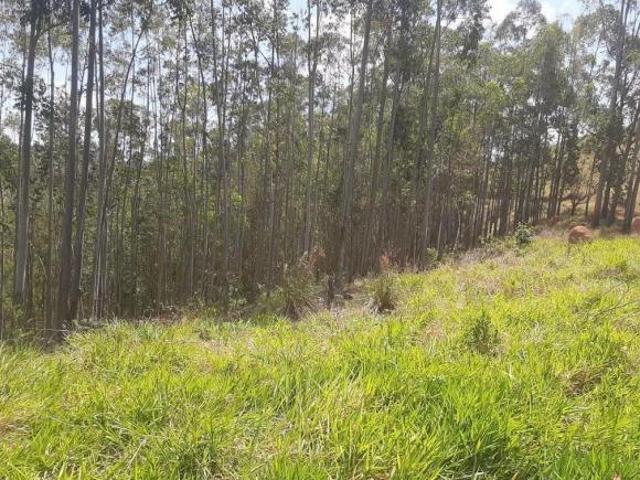 Fazenda para venda em Centro, Paraibuna