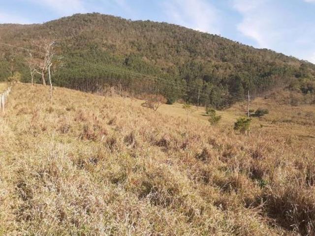 Fazenda para venda em Centro, Paraibuna