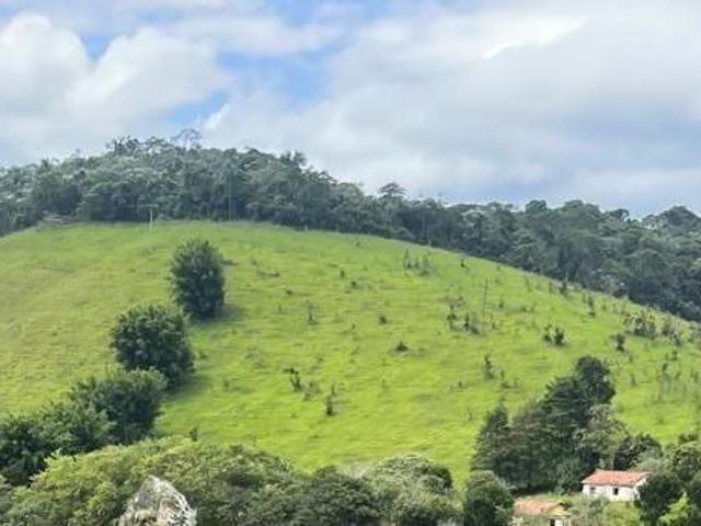 Fazenda para venda em Centro, Paraibuna