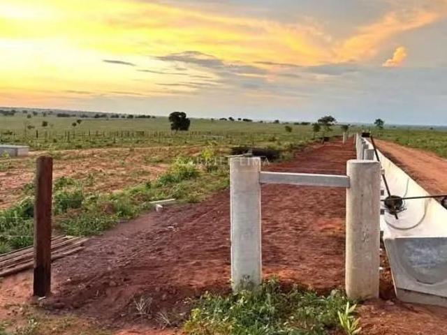 Fazenda para venda em Centro, Paraíso das Águas