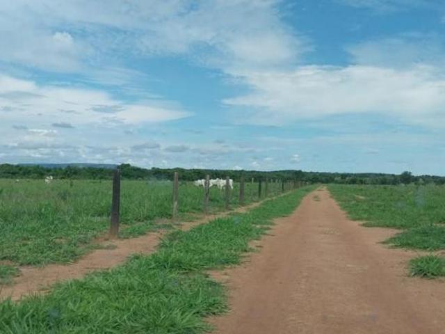 Fazenda para venda em Centro, Paraíso das Águas