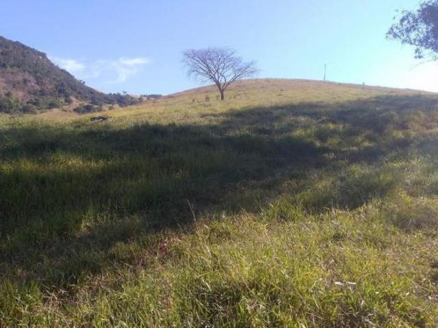 Fazenda para venda em Centro, Paraisópolis