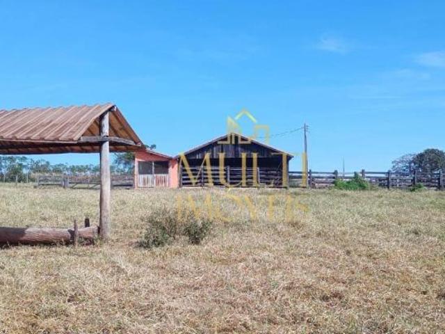 Fazenda para venda em Centro, Paranaíba