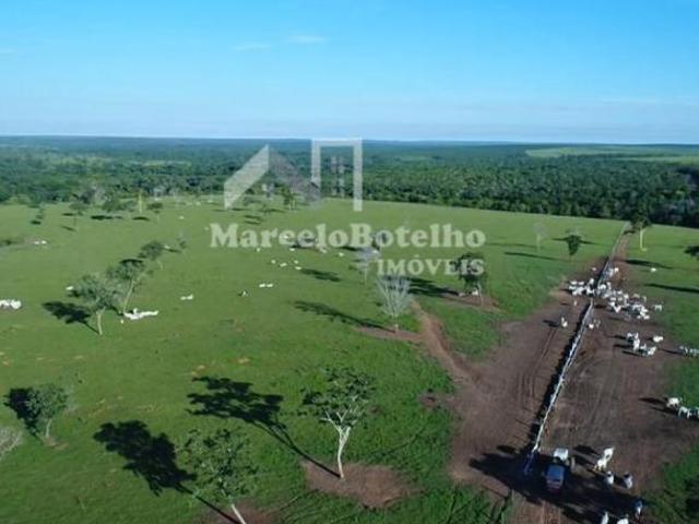 Fazenda para venda em Centro, Paranatinga