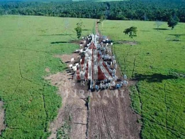 Fazenda para venda em Centro, Paranatinga