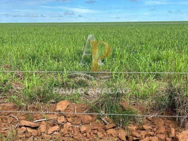Fazenda para venda em Centro, Paranatinga