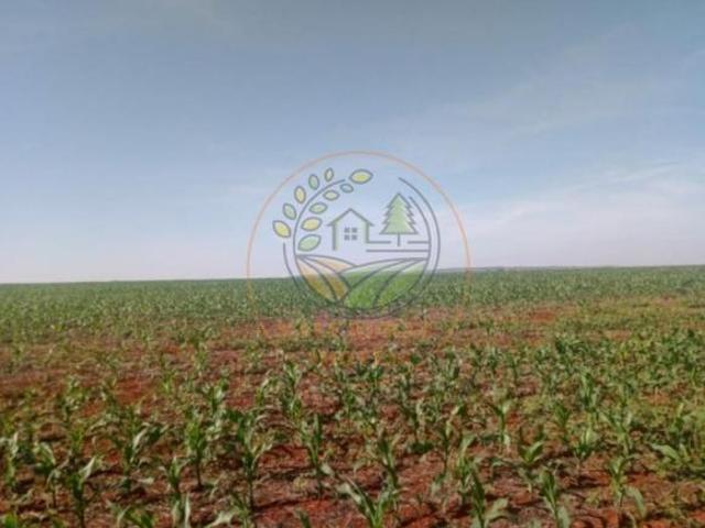 Fazenda para venda em Centro, Patos de Minas