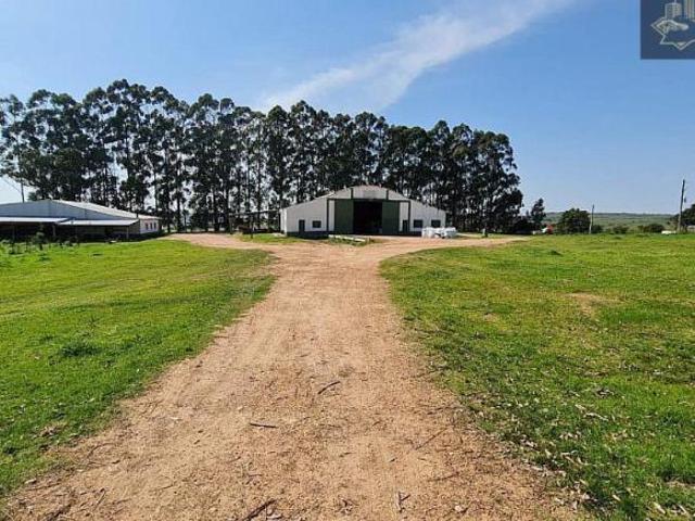 Fazenda para venda em Centro, Pedras Altas