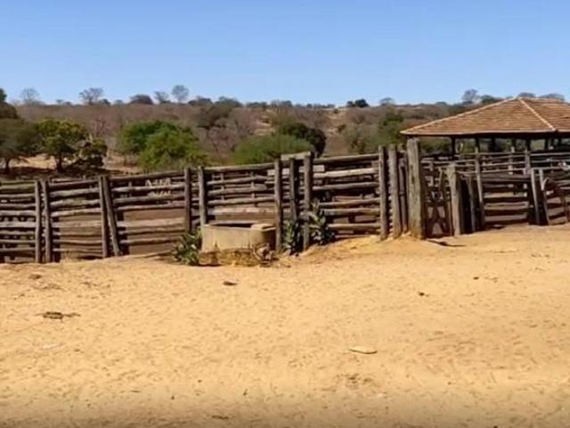 Fazenda para venda em Centro, Pedras de Maria da Cruz