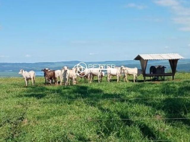 Fazenda para venda em Centro, Pedregulho
