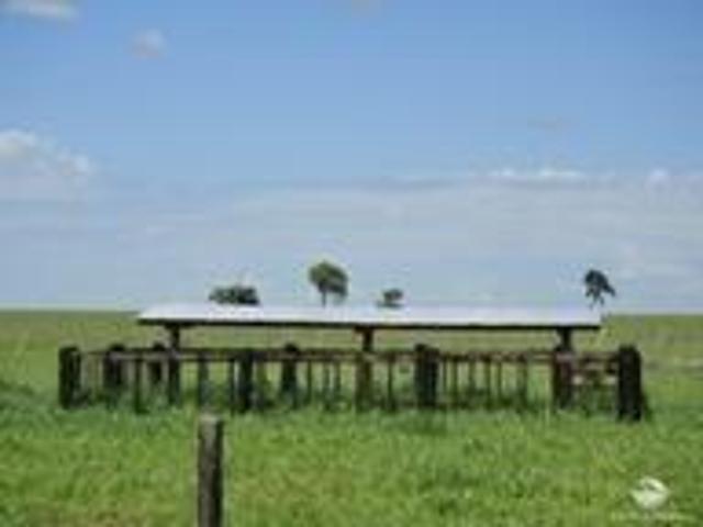 Fazenda para venda em Centro, Pedro Gomes