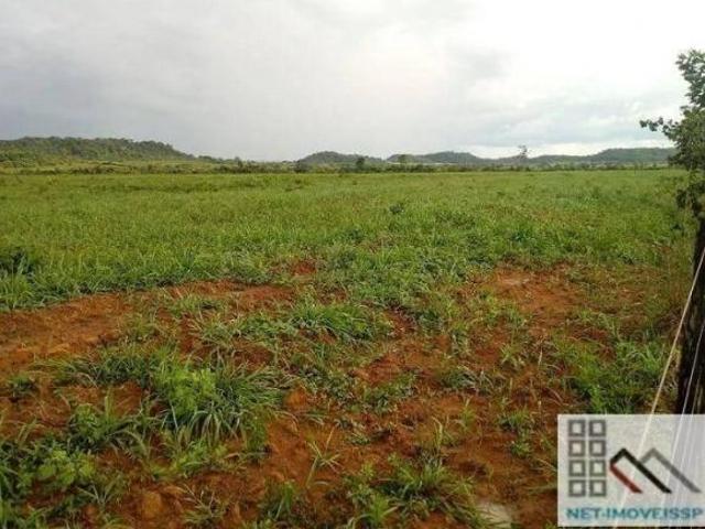 Fazenda para venda em Centro, Peixoto de Azevedo