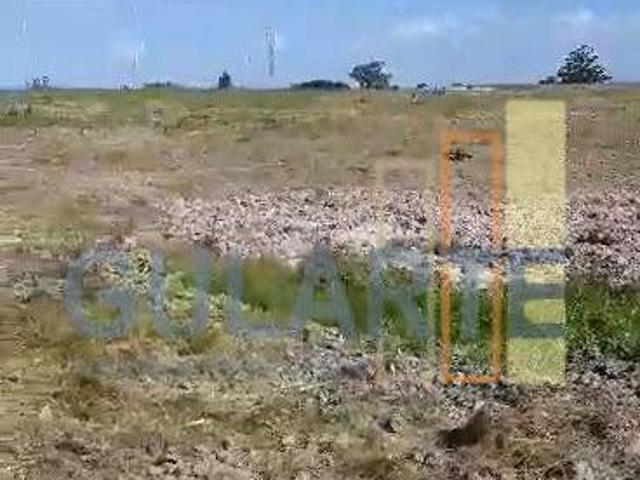 Fazenda para venda em Centro, Pelotas