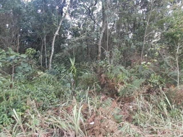 Sítio para venda em Centro, Piedade
