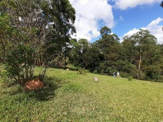 Fazenda para venda em Centro, Pinhalzinho
