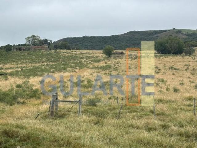 Fazenda para venda em Centro, Pinheiro Machado