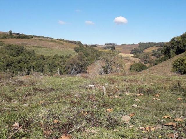 Fazenda para venda em Centro, Pinto Bandeira