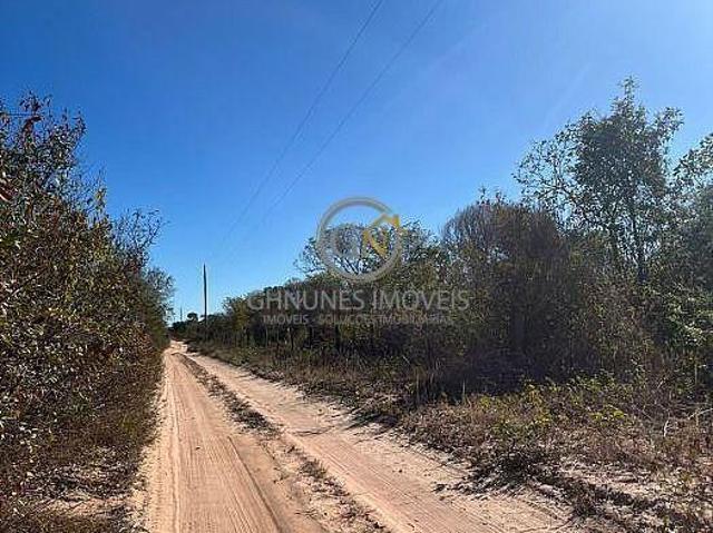 Fazenda para venda em Centro, Pintópolis