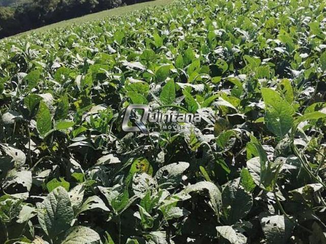 Fazenda para venda em Centro, Piratini