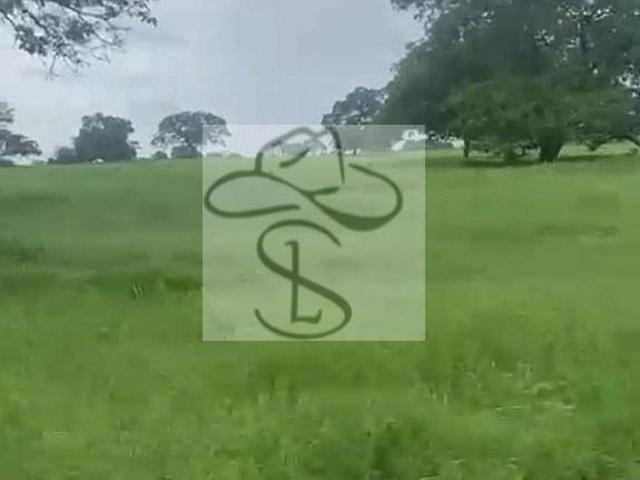 Fazenda para venda em Centro, Pirapora