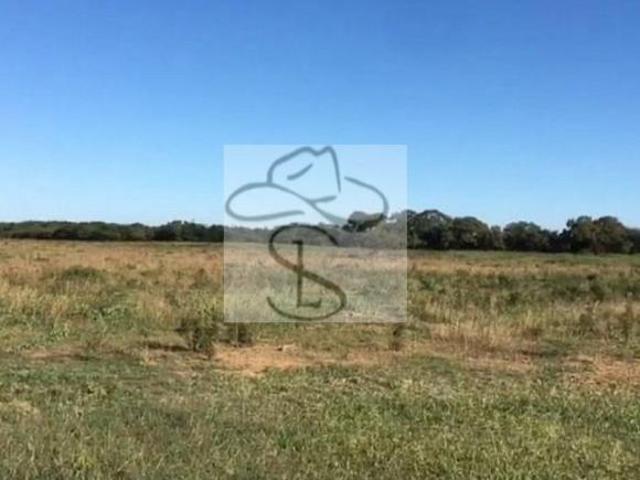 Fazenda para venda em Centro, Pirapora