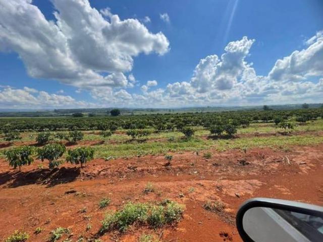 Fazenda para venda em Centro, Piumhi