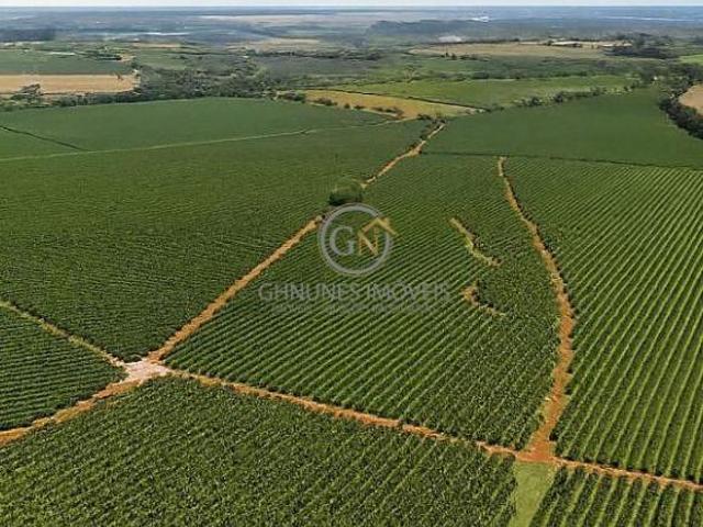 Fazenda para venda em Centro, Piumhi