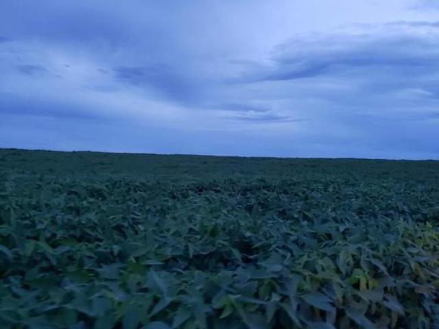 Fazenda para venda em Centro, Planalto da Serra