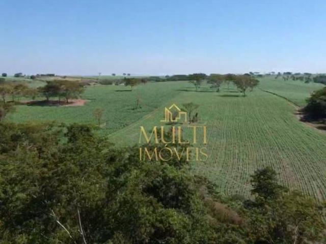 Fazenda para venda em Centro, Planalto
