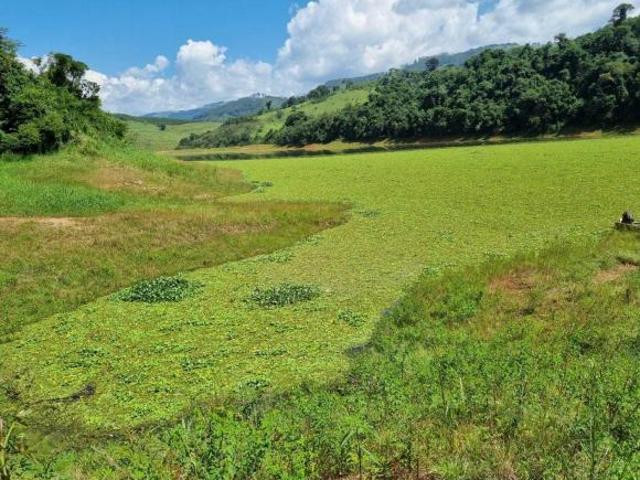 Fazenda para venda em Centro, Poços de Caldas