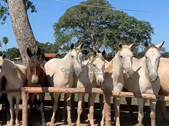 Fazenda para venda em Centro, Poconé