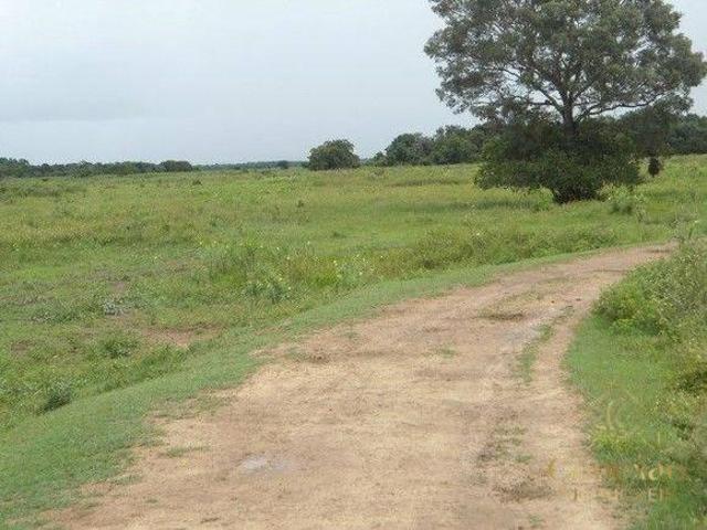 Fazenda para venda em Centro, Poconé