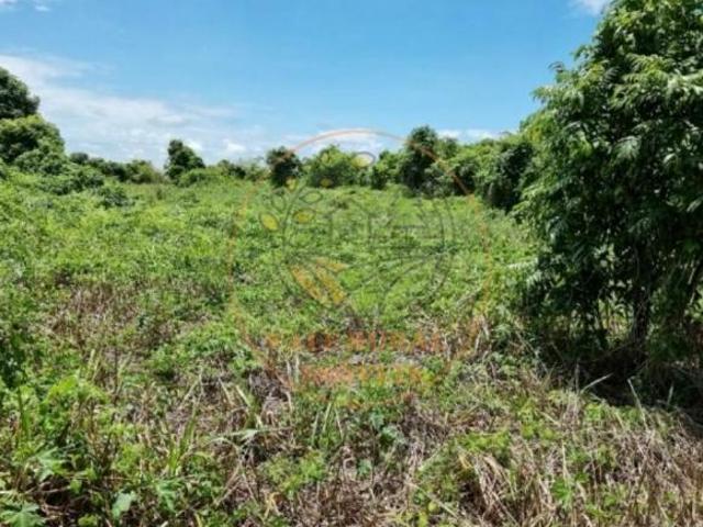 Fazenda para venda em Centro Político Administrativo, Cuiabá