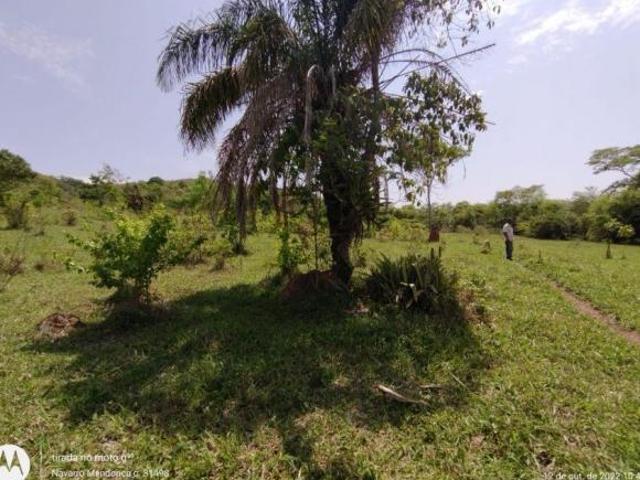 Fazenda para venda em Centro, Pontalina