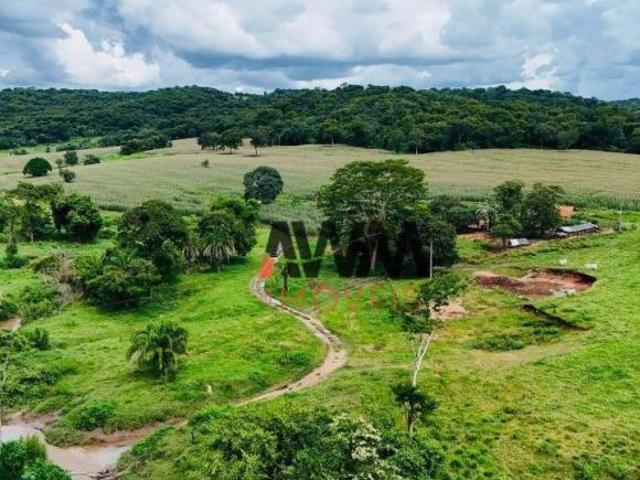 Fazenda para venda em Centro, Pontalina