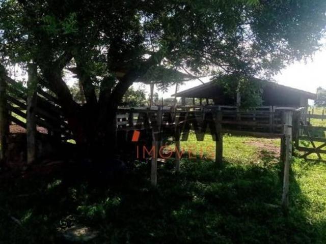 Fazenda para venda em Centro, Porangatu