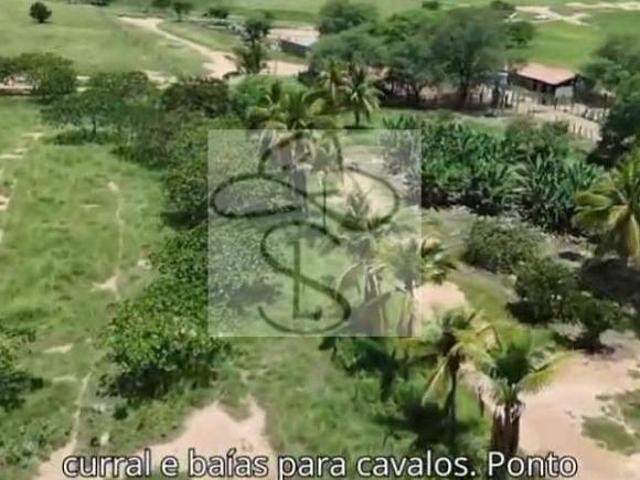 Fazenda para venda em Centro, Porteirinha