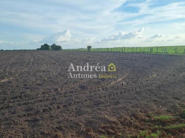 Fazenda para venda em Centro, Porto Alegre do Norte