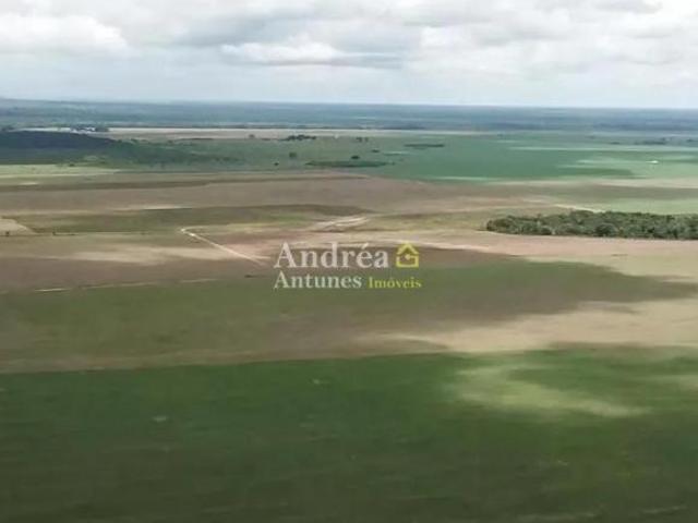 Fazenda para venda em Centro, Porto Alegre do Norte