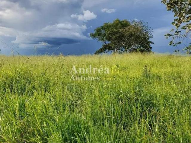 Fazenda para venda em Centro, Porto Alegre do Norte